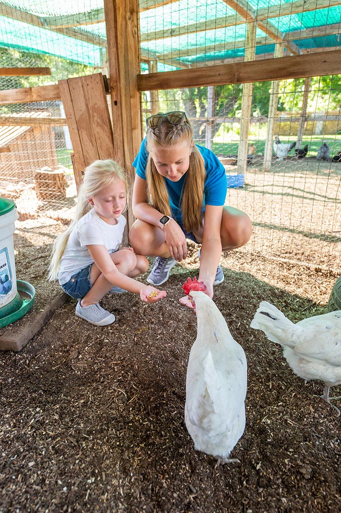 Garden Camps for Kids | Denver Botanic Gardens