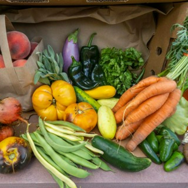 Amazing Vegetables A to Z: Care and Caution in the Vegetable Garden ...