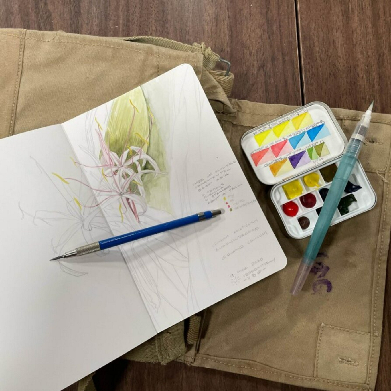 Sketching and Painting at Chatfield Farms | Denver Botanic Gardens