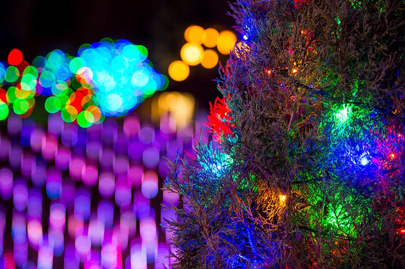 The Luminous History of Holiday Lights | Denver Botanic Gardens