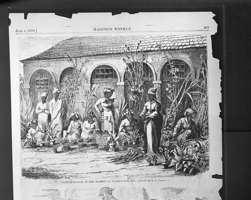 The Legendary Flower Sellers | Denver Botanic Gardens