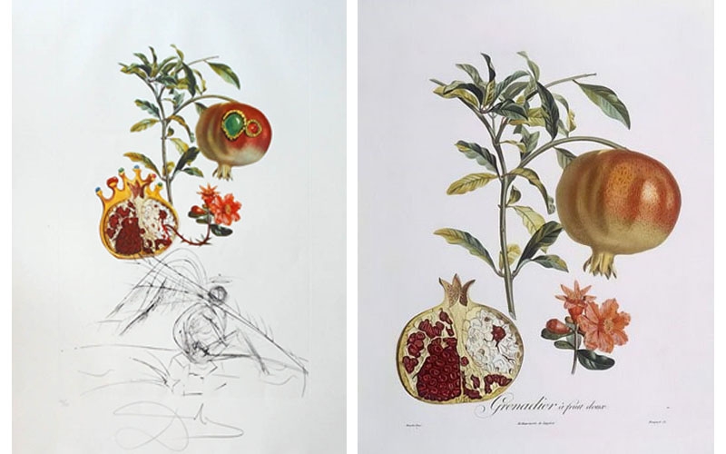 Salvador Dalí’s Strange Fruit Garden | Denver Botanic Gardens