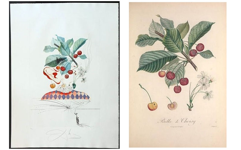 Salvador Dalí’s Strange Fruit Garden | Denver Botanic Gardens