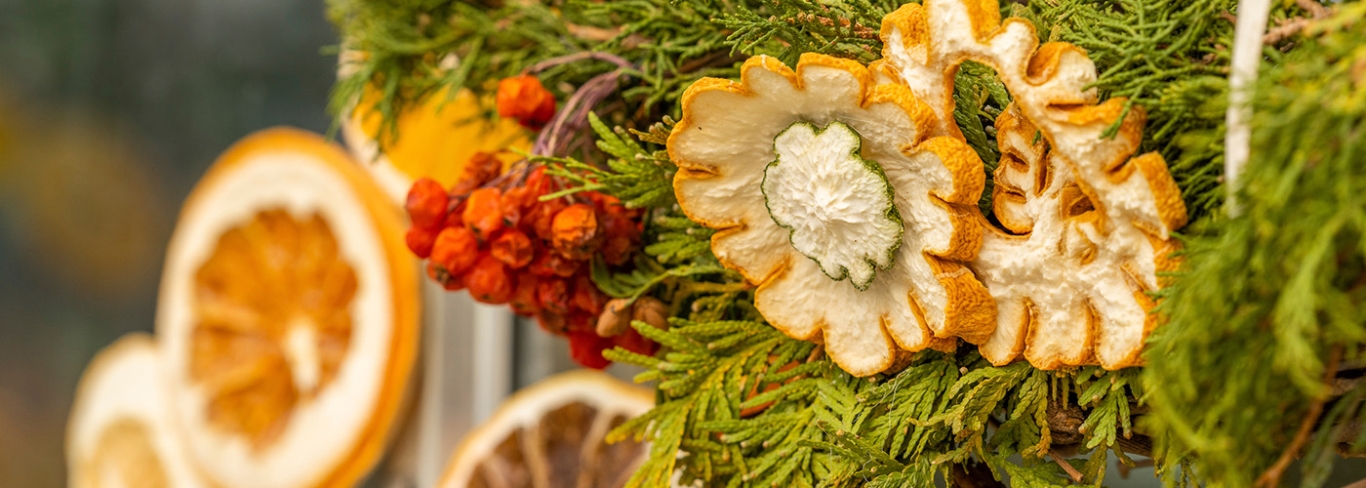 Holiday Display | Denver Botanic Gardens