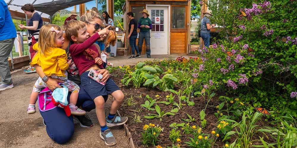 Butterflies at Chatfield Farms | Denver Botanic Gardens