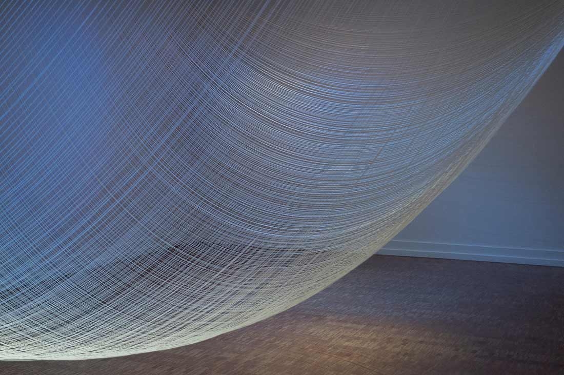 Shadow and Light: Patrick Marold | Denver Botanic Gardens