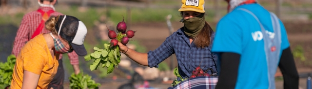 Volunteer on the Farm | Denver Botanic Gardens