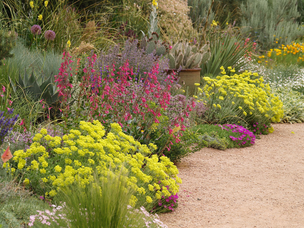 May Walking Tour - Water-Smart Plants are Everywhere! | Denver Botanic ...